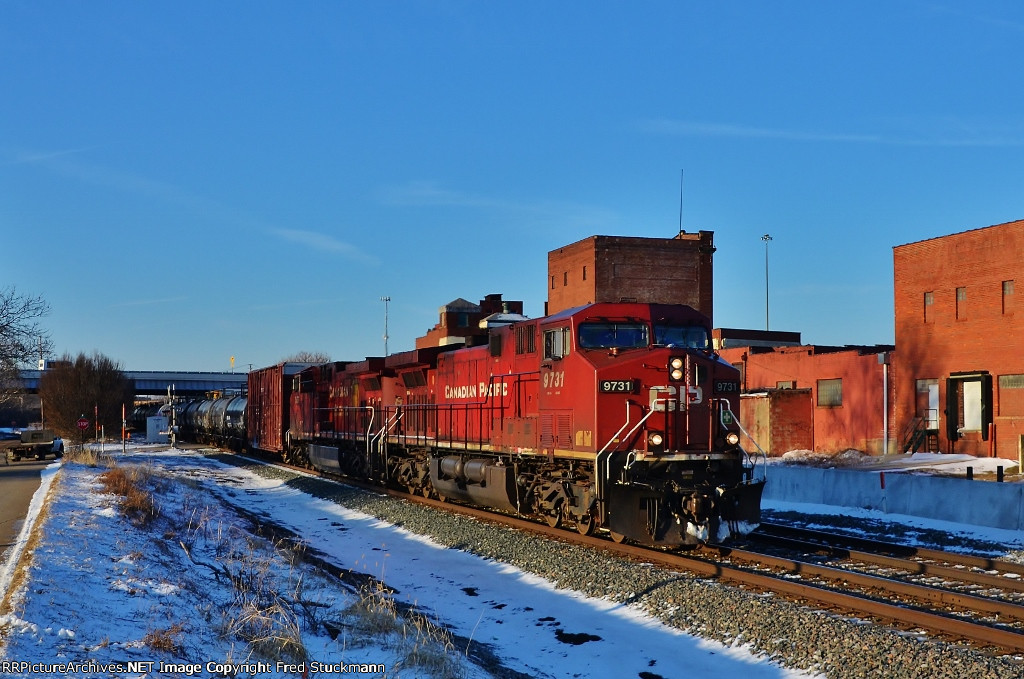 CP 9731 looks good in the morning sun.